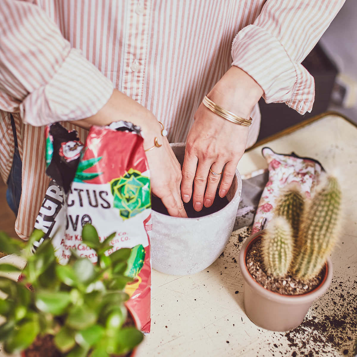 Undergreen Cactus Love, de ideale basis voor cactussen en vetplanten