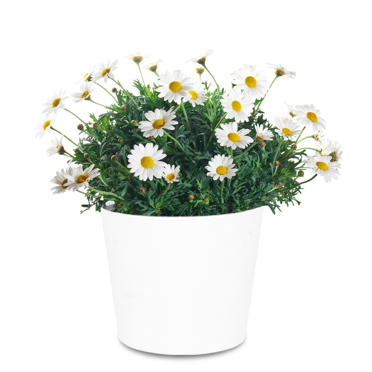 Margriet » undergreen.nl